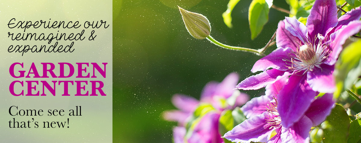 Bauman's Farm and Garden | Bakery | Garden Center | Local Produce ...