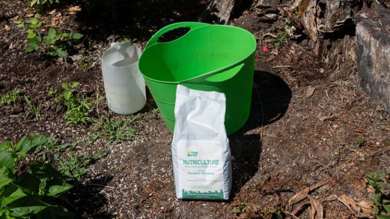 Hanging Basket Bug Care & Dealing with Cutworms | Bauman