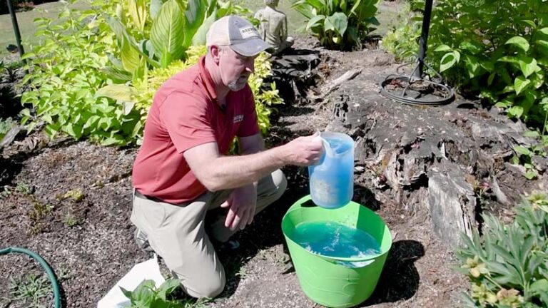 Hanging Basket Bug Care & Dealing with Cutworms | Bauman