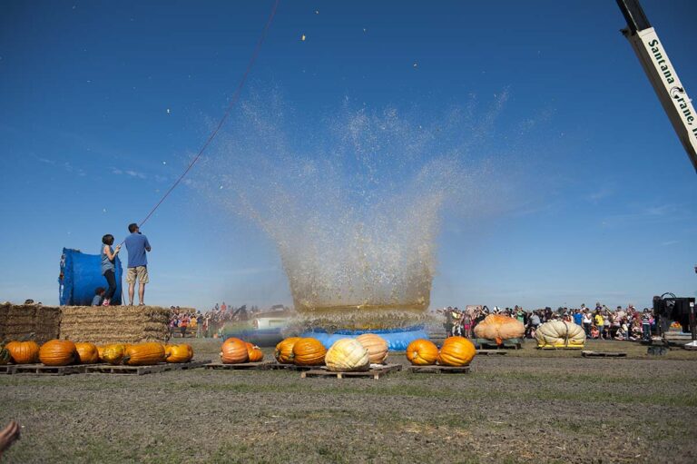 Giant Pumpkin Drop - Bauman's Farm & Garden