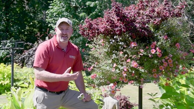 Hanging Basket Bug Care & Dealing with Cutworms | Bauman